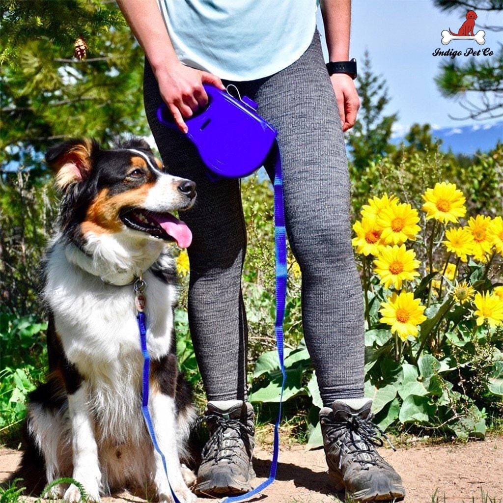 All-In-One Smart Leash | IndigoPetco.com