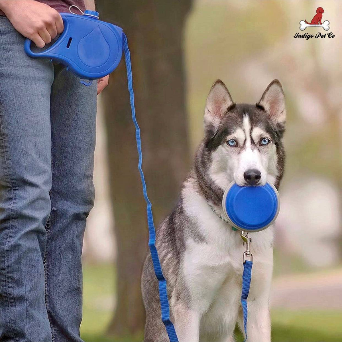 All-In-One Smart Leash | IndigoPetco.com