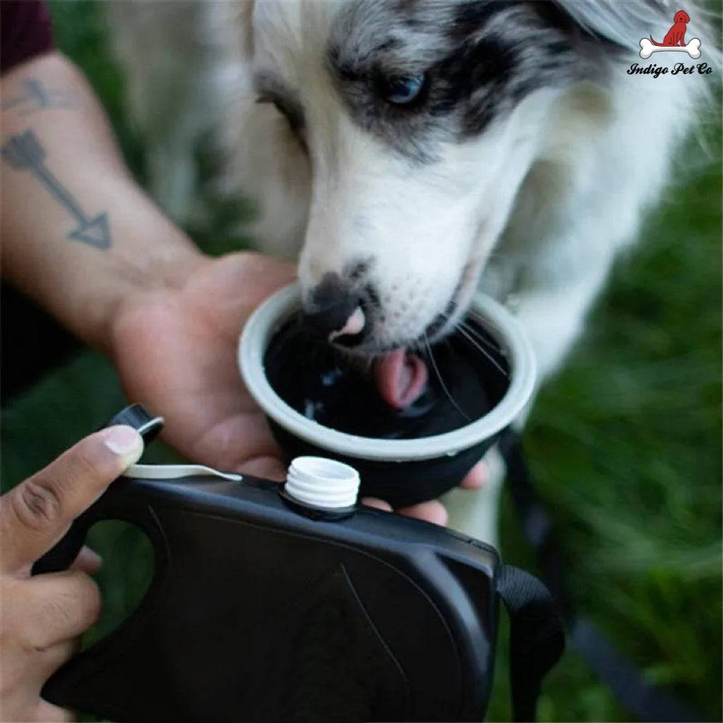 All-In-One Smart Leash | IndigoPetco.com