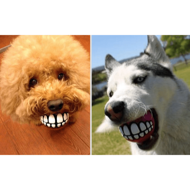 Smile Dog Ball | IndigoPetco.com