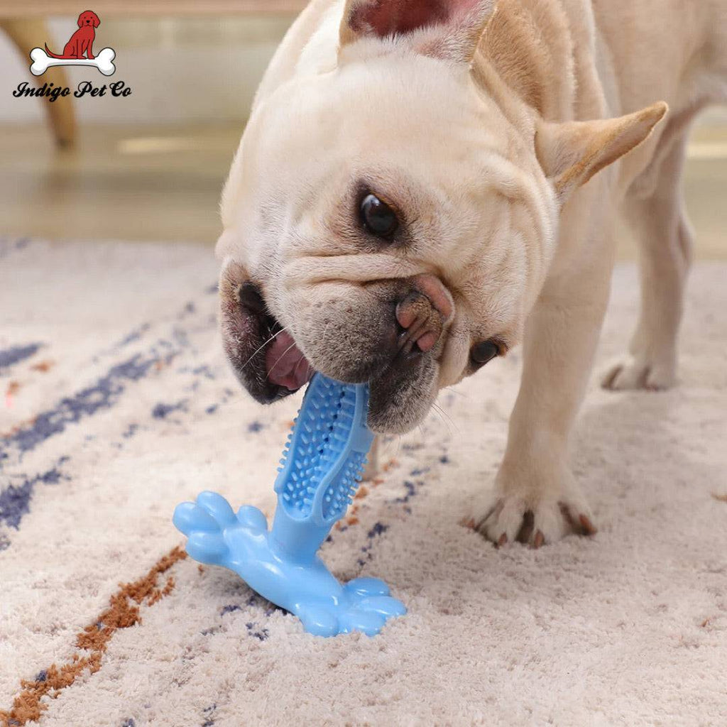 Dog Tooth Brushing Sticks & Toothpaste Set | IndigoPetco.com