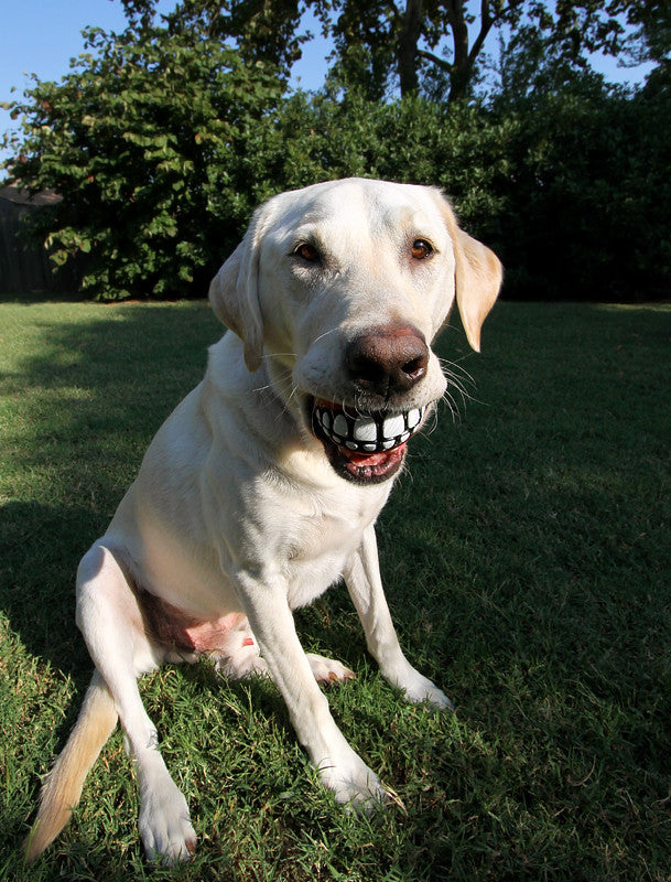 Smile Dog Ball | IndigoPetco.com