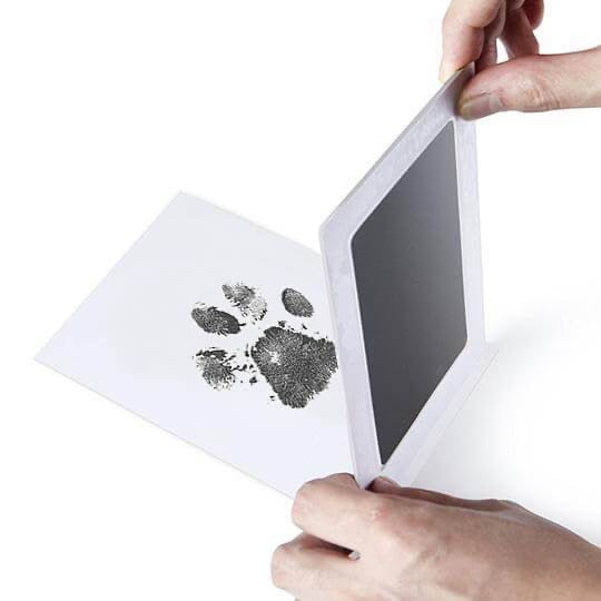 Paw Print Stamp Pad | IndigoPetco.com