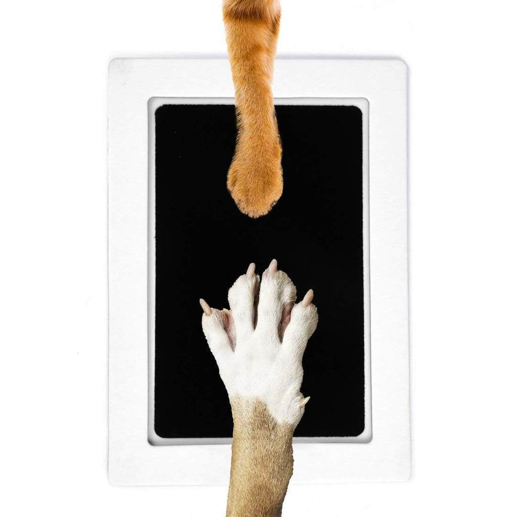 Paw Print Stamp Pad | Capture Your Pets Paw Prints Forever ...