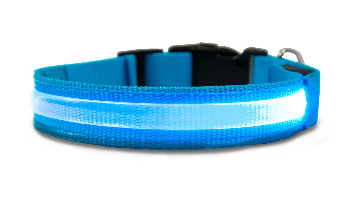 LED Glow Collar | IndigoPetco.com