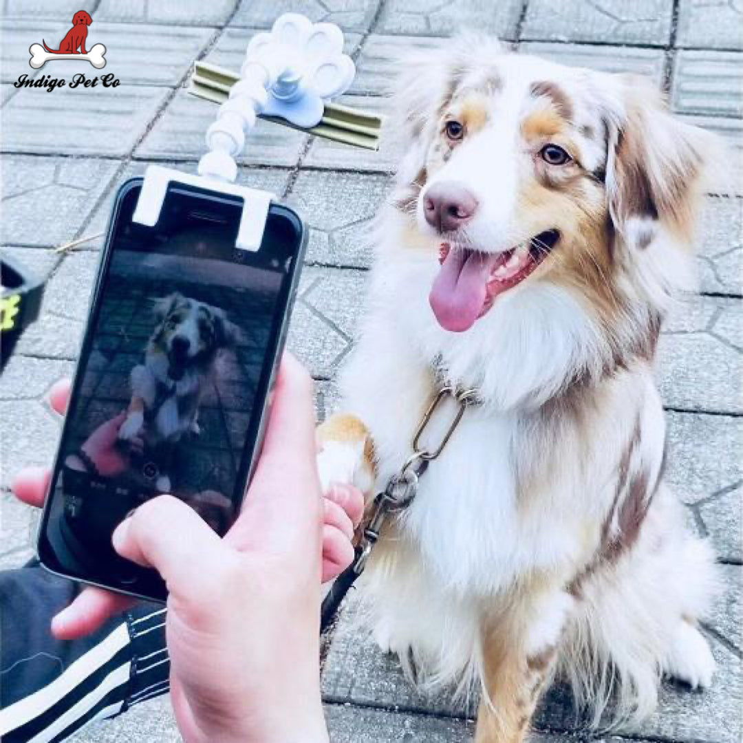Pet Selfie Stick | Create Unforgettable Memories With Your Pet ...