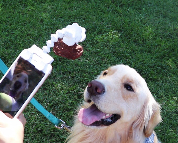 Pet Selfie Stick | Create Unforgettable Memories With Your Pet ...